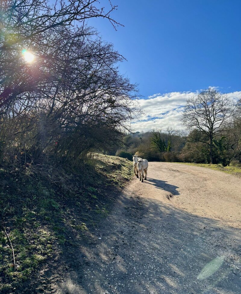 Staunchy - Adventures in Europe. On a bike.